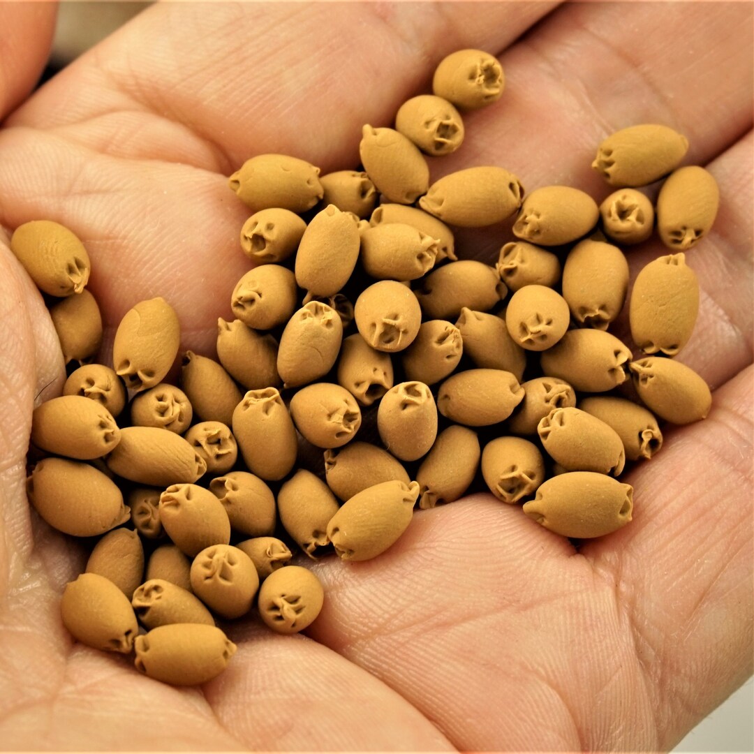 SUPER MINI KIWI Dollhouse Fruits Scale 1 12 Ready to Gift in Box Small ...