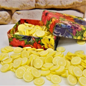 CITRUS LEMON FIMO Slices for Craft in Gift Box Polymer Clay Diy Lemon ...