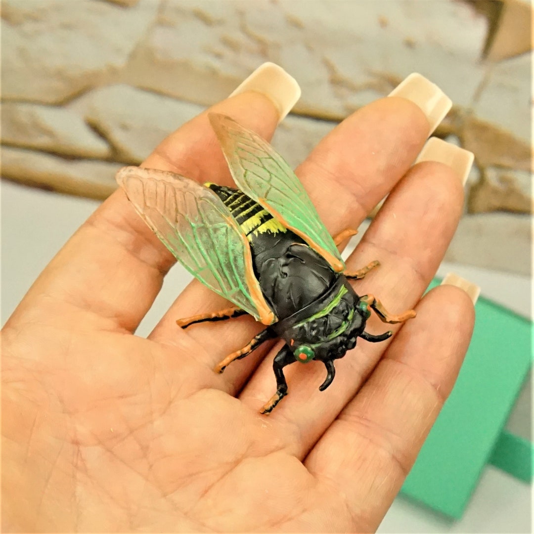 LIFELIKE CICADA HALLOWEEN Bug, Educational Toy, Real Looking Cicada ...