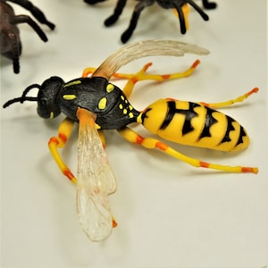 Lifelike Wasp Figurine, Halloween Insect Decor, Educational Toy - Etsy