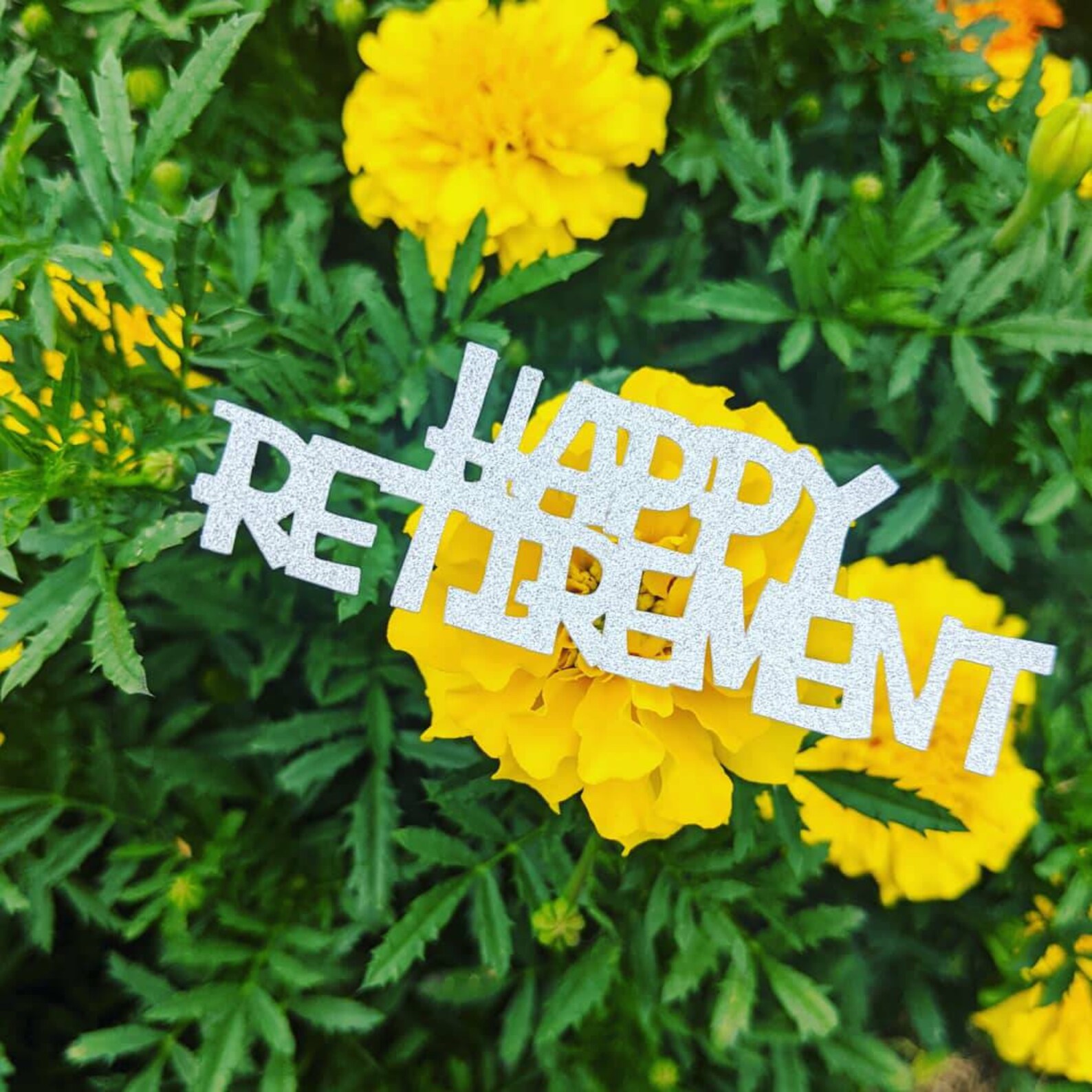 50 Ct Happy Retirement Confetti / Retirement Party Decorations | Etsy