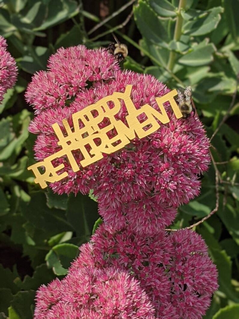 50 Ct Happy Retirement Confetti / Retirement Party Decorations ...