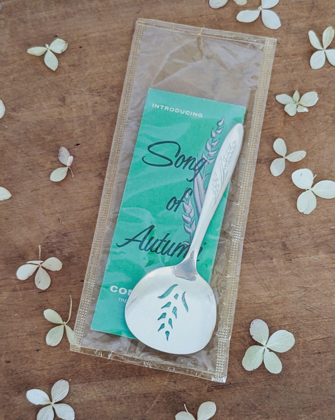NOS Silver Plate Bon Bon Spoon, Song of Autumn Pattern - Etsy