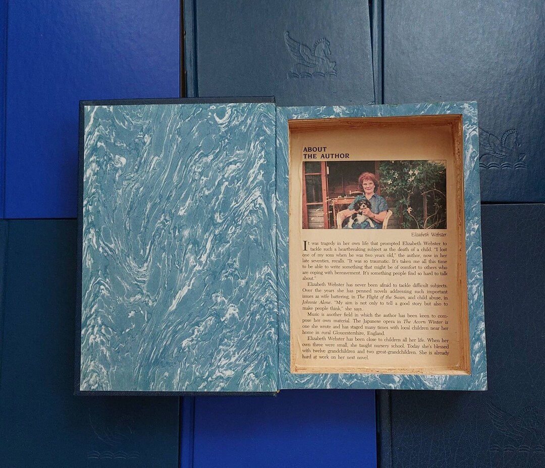 Blue Hollow Book Safe Book Safe Hollowed Out Book Book Box Secret Gift ...