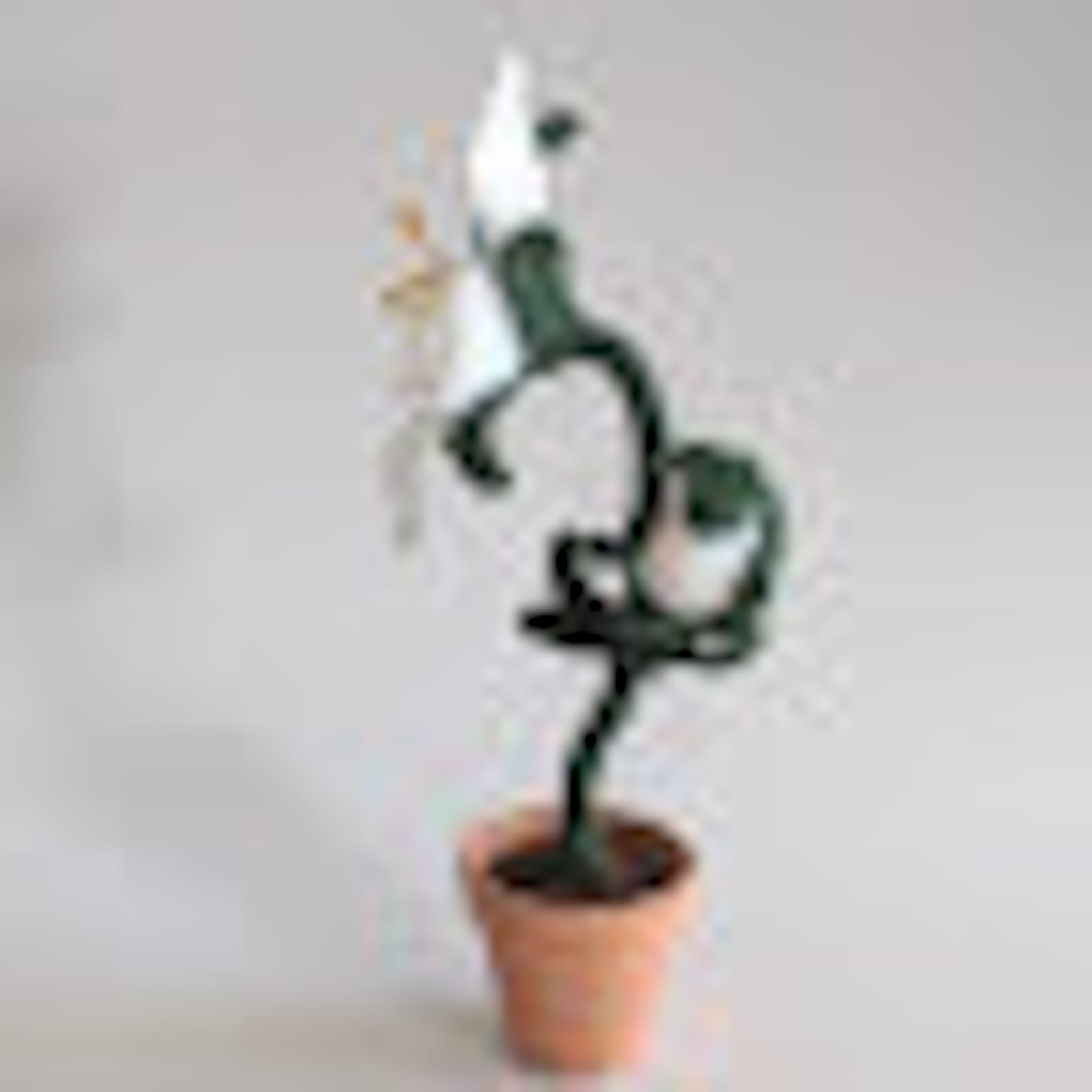 Silent Princess the Legend of Zelda Flower Crochet Pattern - Etsy Australia