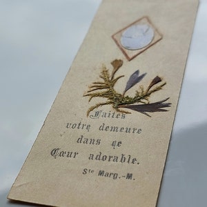 Saint Marguerite-marie Alacoque Antique Relic Card: Sliver of Hazelnut ...