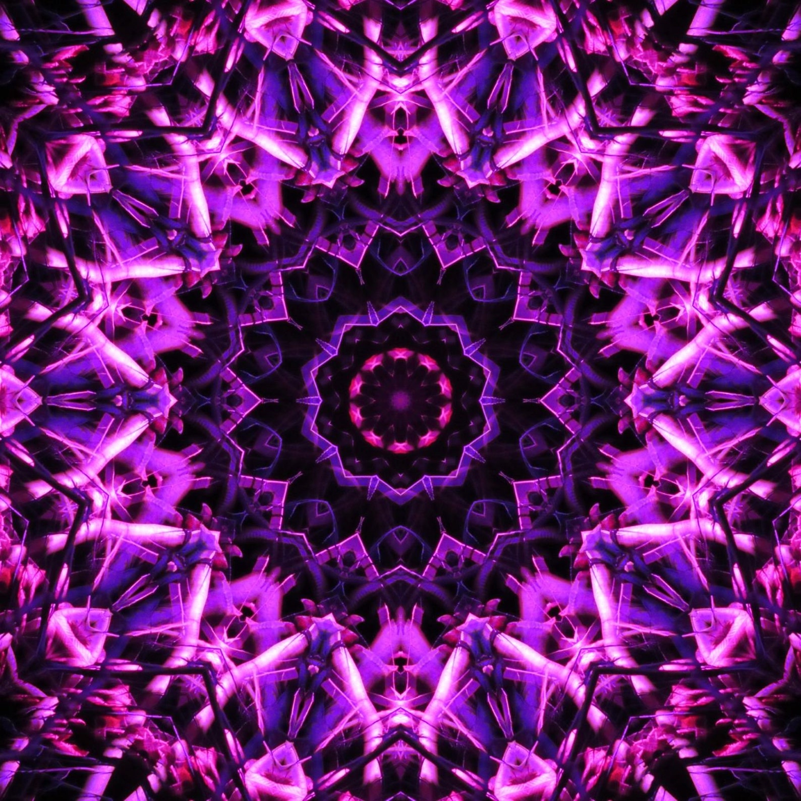 Magenta Lights Kaleidoscope Digital Art - Etsy