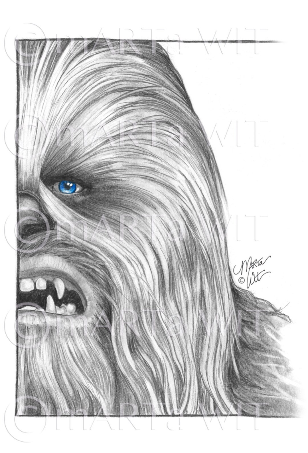 SW06 - Fan Art Print - Chewbacca - Etsy