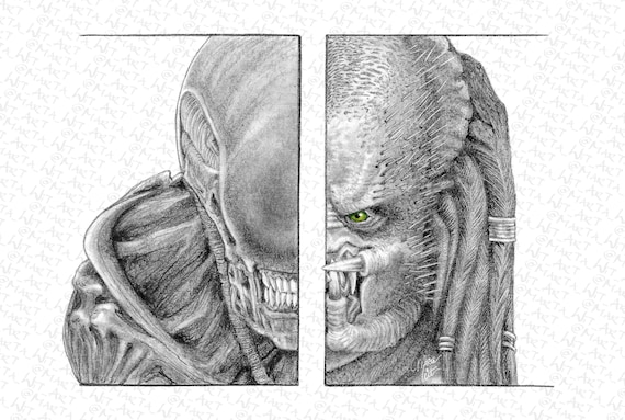 Simple Alien Vs Predator Drawings