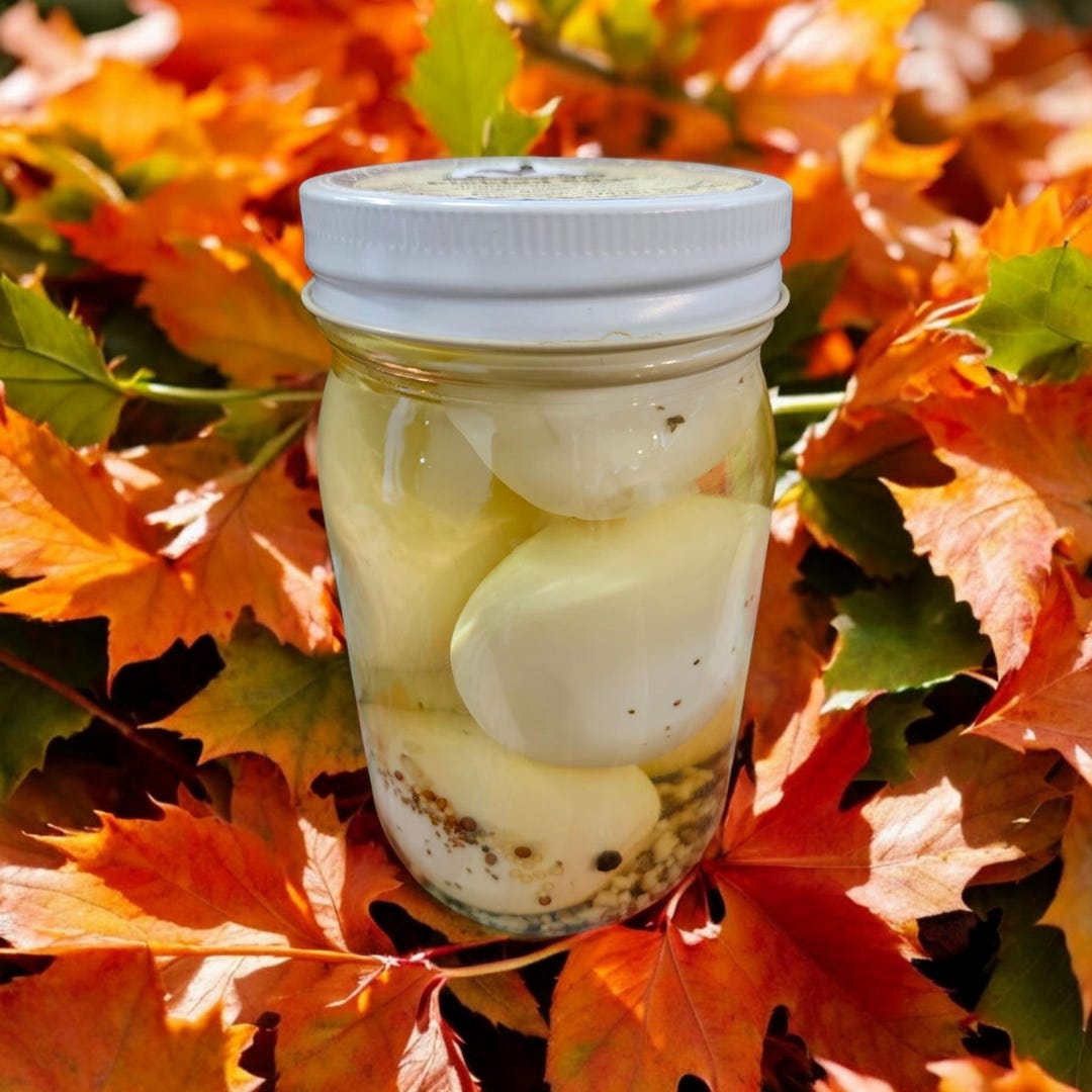 Farm Fresh Pickled Eggs - Etsy