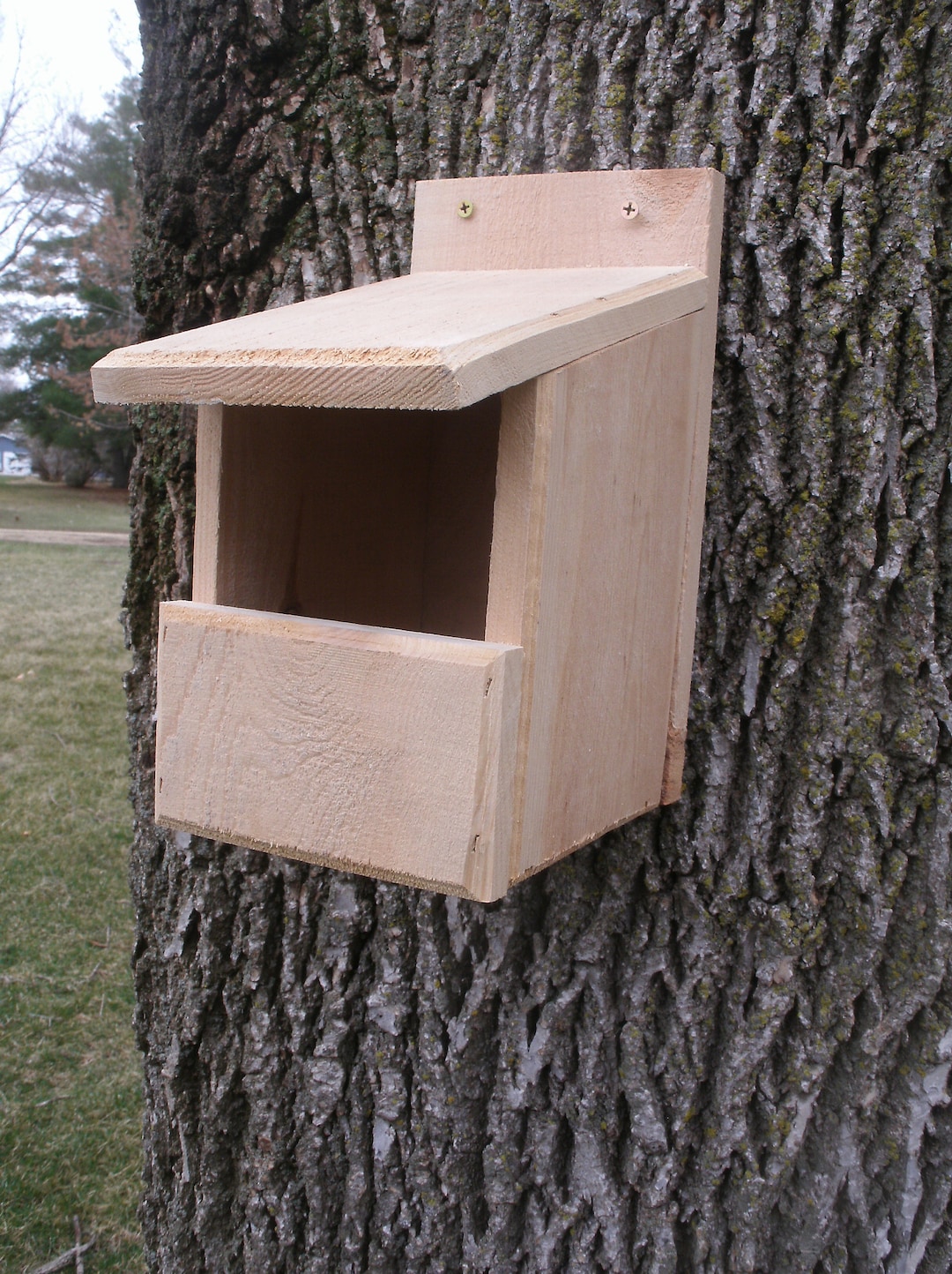 Cedar Robin Bird House, Cedar Birdhouse, Wooden Birdhouse, Bird House ...