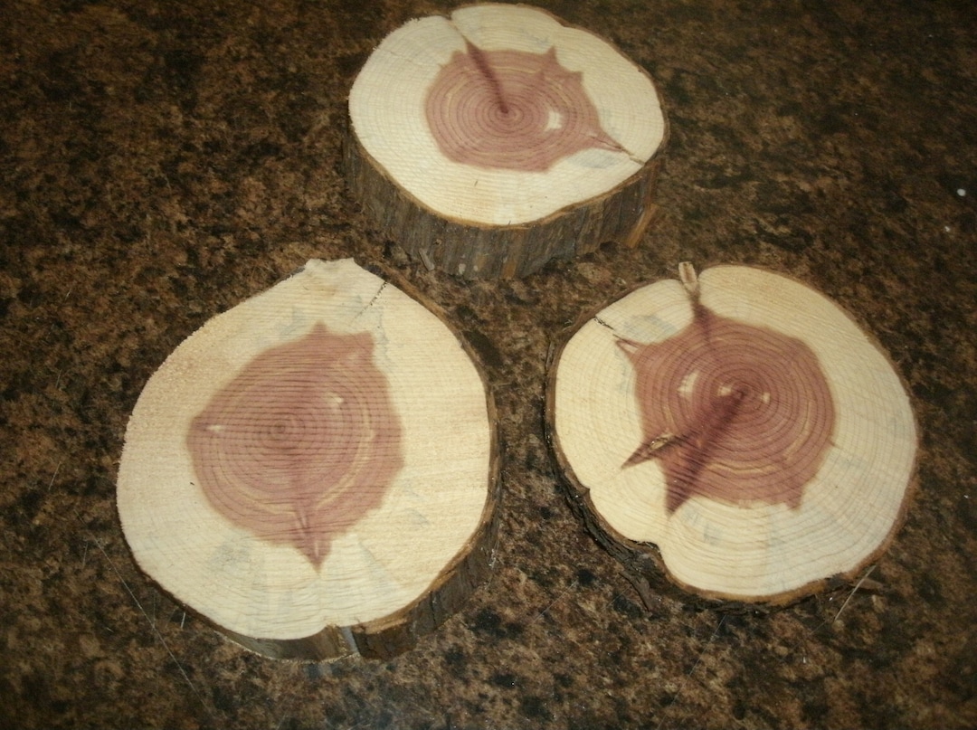 10 Pack Red Cedar Wood Slices, Wood Slabs, Wood Plaque Value Pack ...