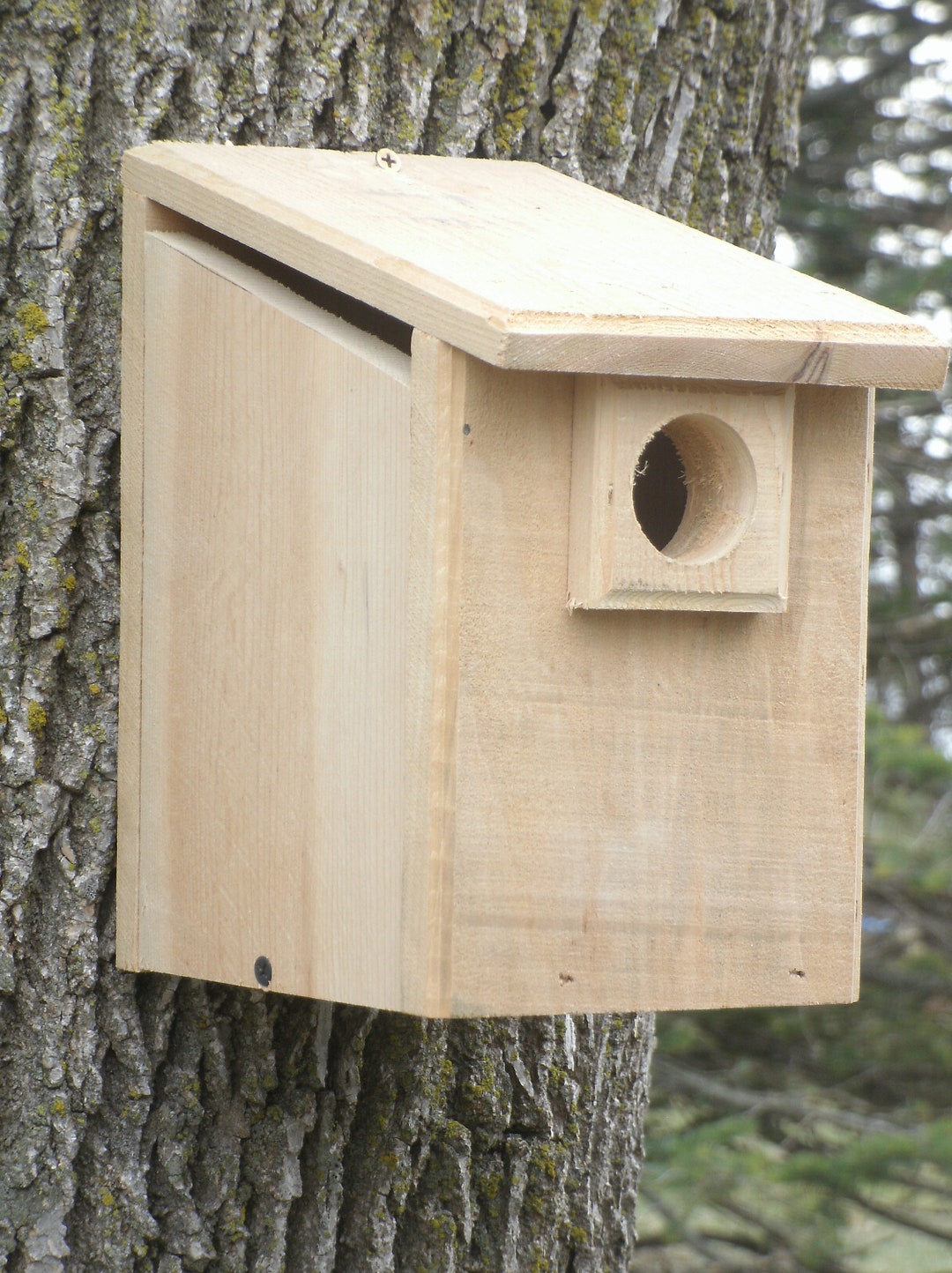 Cedar Bluebird Bird House, Cedar Birdhouse, Wren Birdhouse, Bird House ...