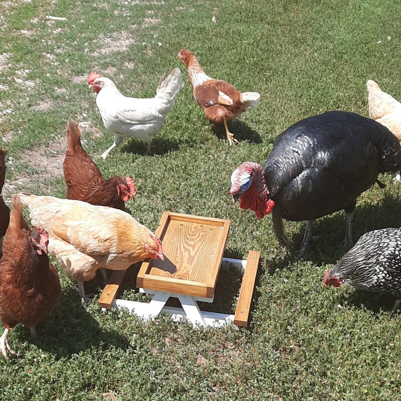 Chicknic Table - Etsy