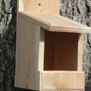 Cardinal Bird House, Robin Birdhouse, Wooden Birdhouse, Cedar Bird ...