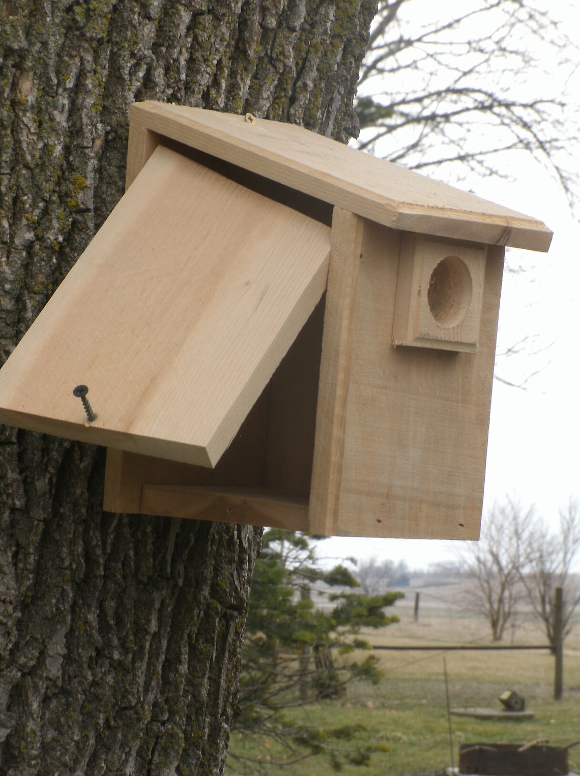 4 -cedar Bluebird Bird Houses, Cedar Birdhouse, Wren Birdhouse, Bird ...