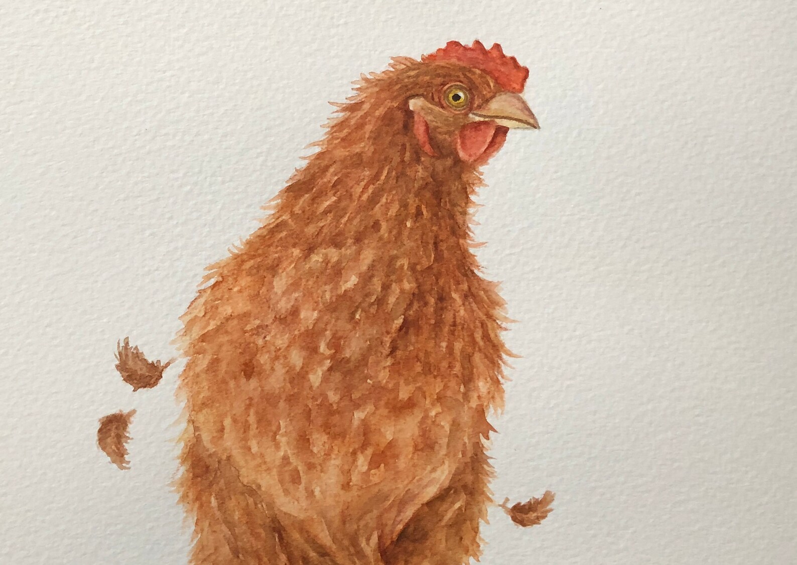 Rhode Island Red Chicken Original Art Hen Keeper Gift | Etsy UK