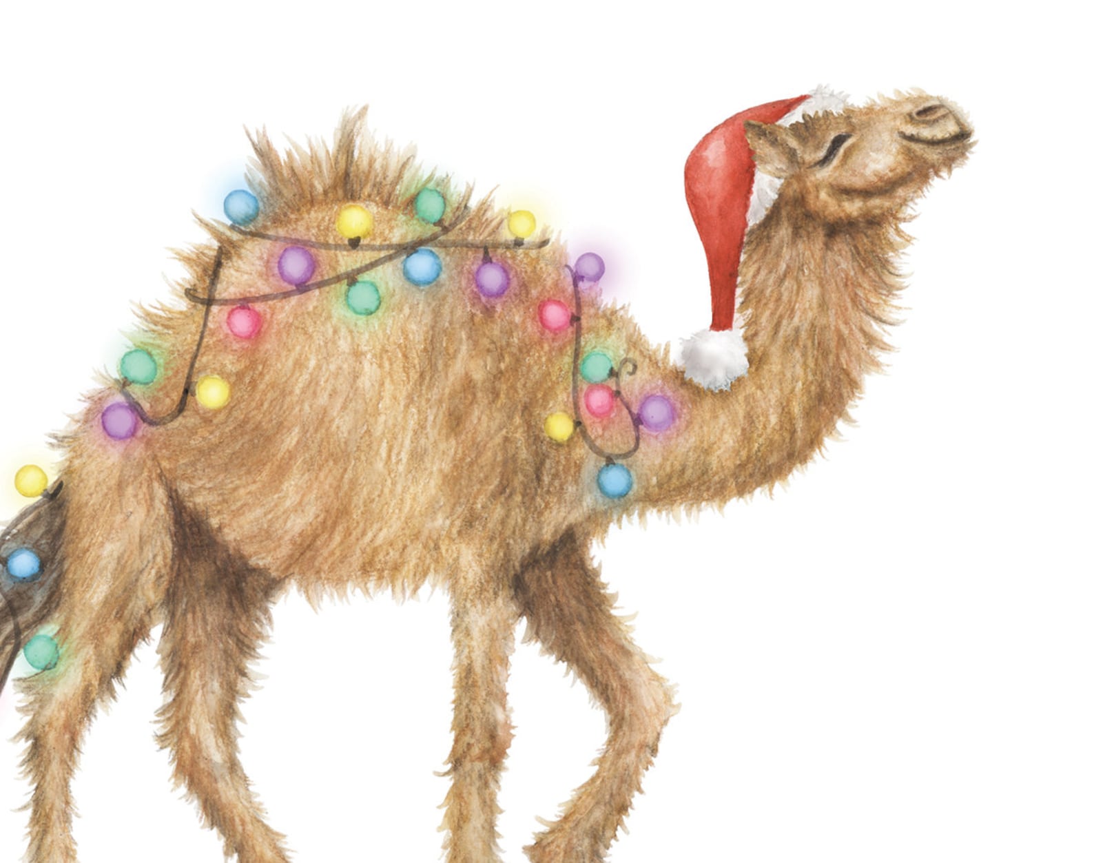 Funny Camel Christmas Card Alternative Festive Hymn Card - Etsy UK