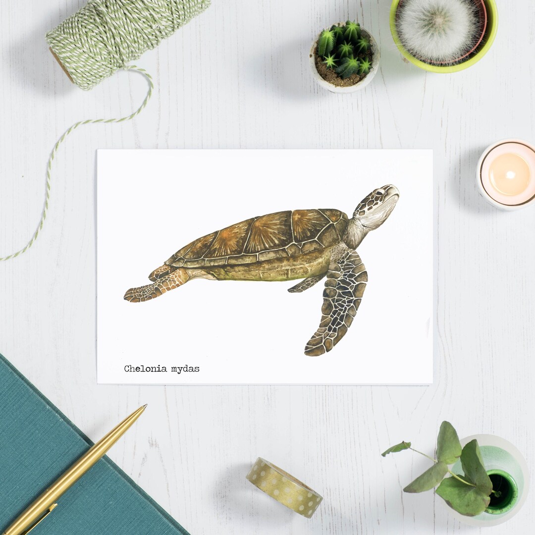 Green Turtle Art Print Gallery Wall Wildlife Wall Art - Etsy