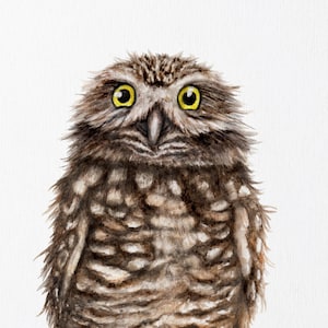Burrowing Owl Original Art British Bird Watercolour Painting - Etsy