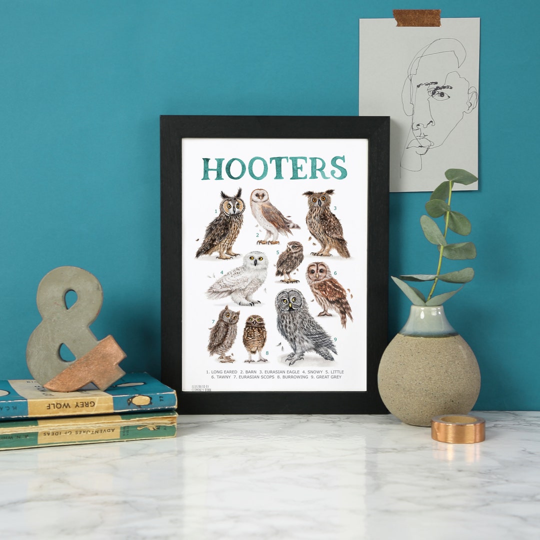 Hooters Luxury Art Print | Funny Pun Owl Watercolour Wall Art - Etsy