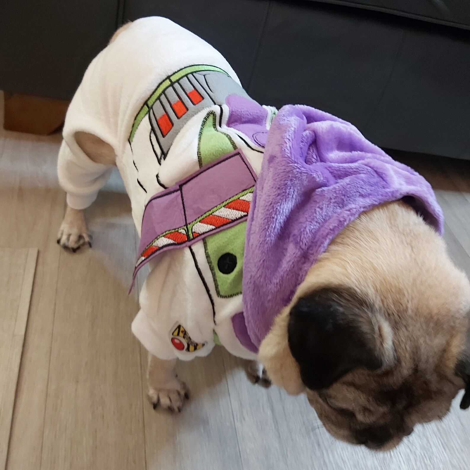 SMALL Buzz Lightyear Disney Dog Pet Costume Halloween - Etsy UK