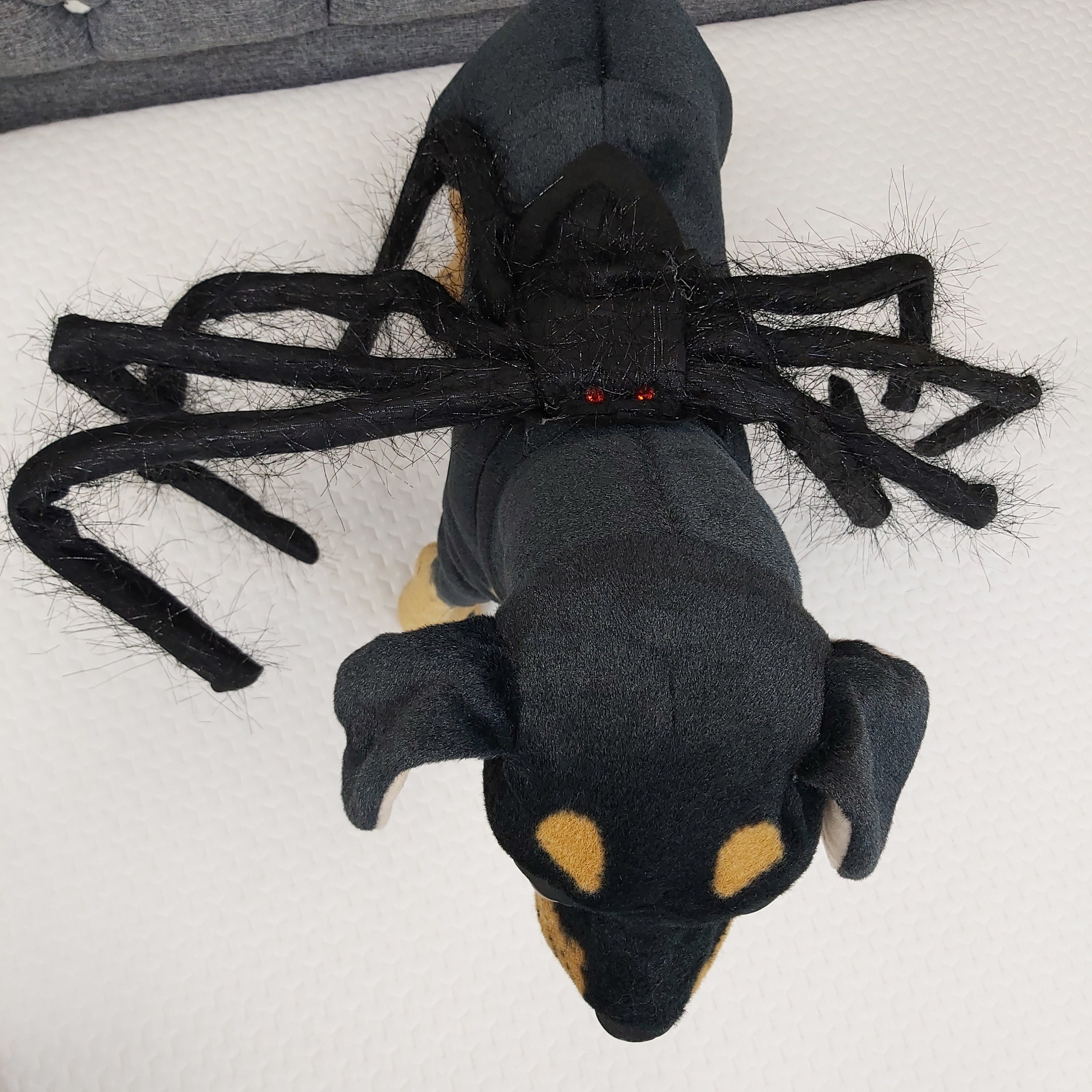 XLARGE hairy spider bendy dog costume for Larger breeds | Etsy