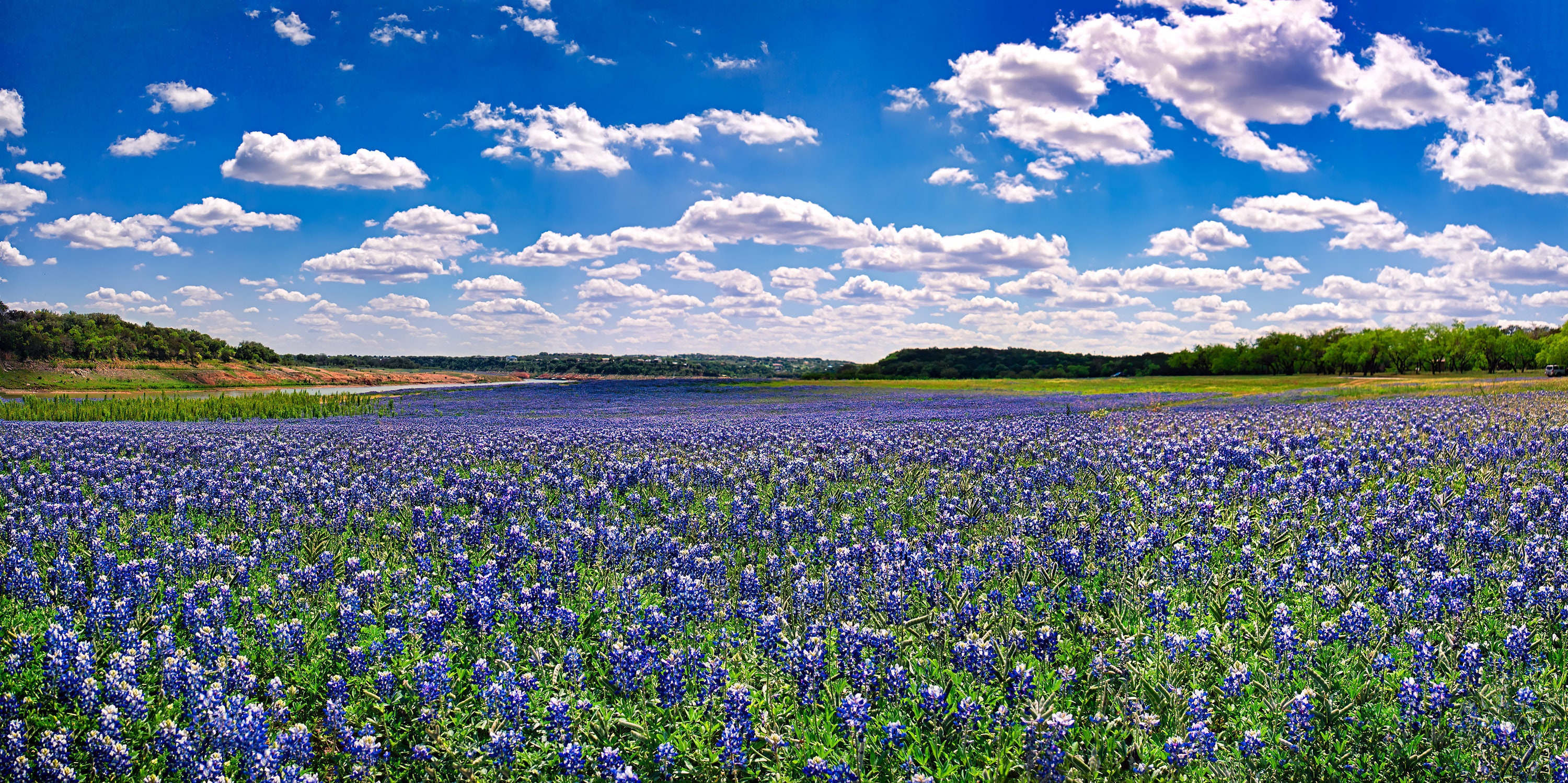 Color Photography 20x40 Fuji Pearl Panoramic Photograph A Sea of Blue 2 ...