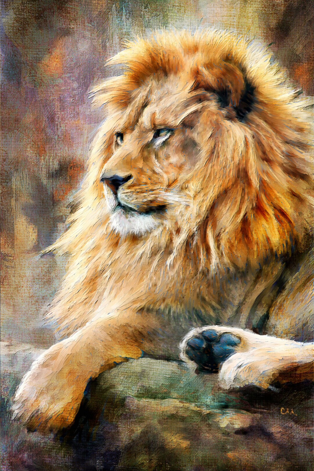 Majesty in Repose, 12x18 Open Edition Giclee Print, Wall Decor, Lion ...
