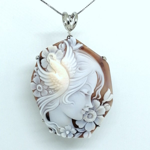 Engraved Shell - Etsy