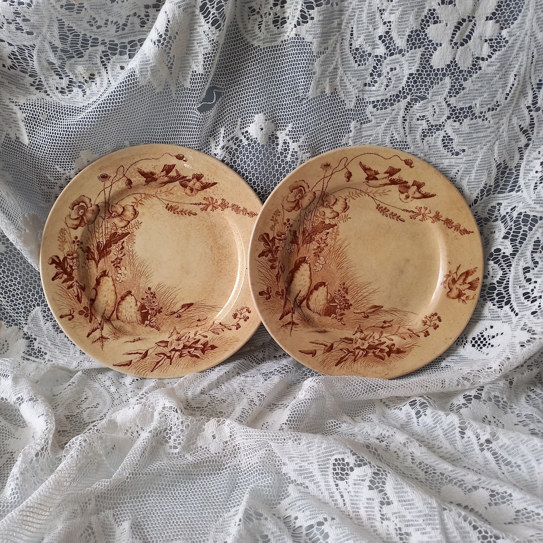 Antique Ironstone Plates With Bird Patterns by Jules Veillard Bordeaux ...