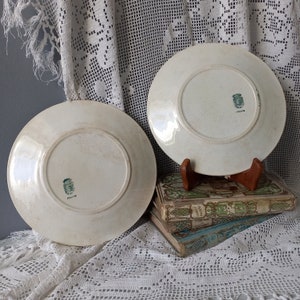 Pair Antique Ironstone Red Berry Plates With Fruit Patterns, French ...