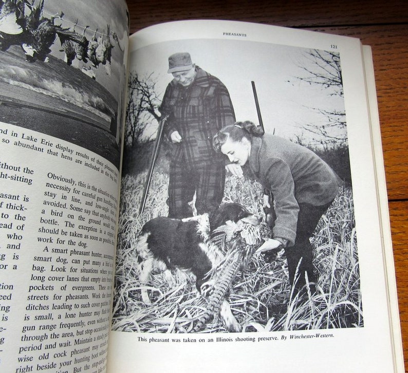 The Shotgunner's Bible by George Laycock Vintage Guide to | Etsy
