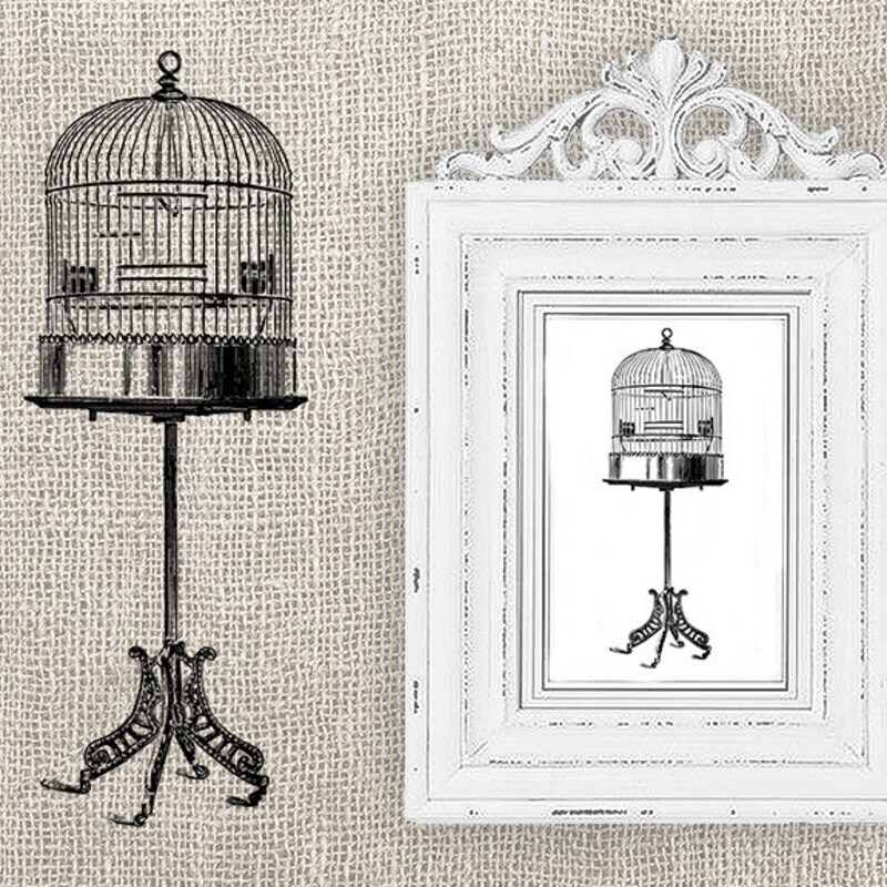 Bird Cage Print - Etsy