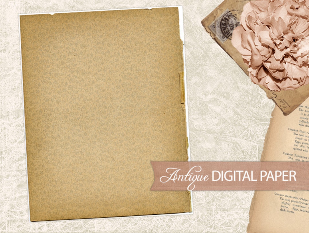 Digital Paper - Antique Paper Background Wallpaper Old Vintage Paper ...