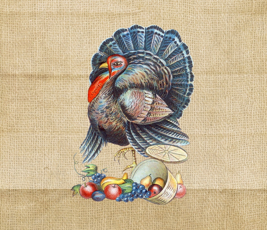 Turkey Image Clipart - Vintage Antique Turkey Thanksgiving Graphic ...