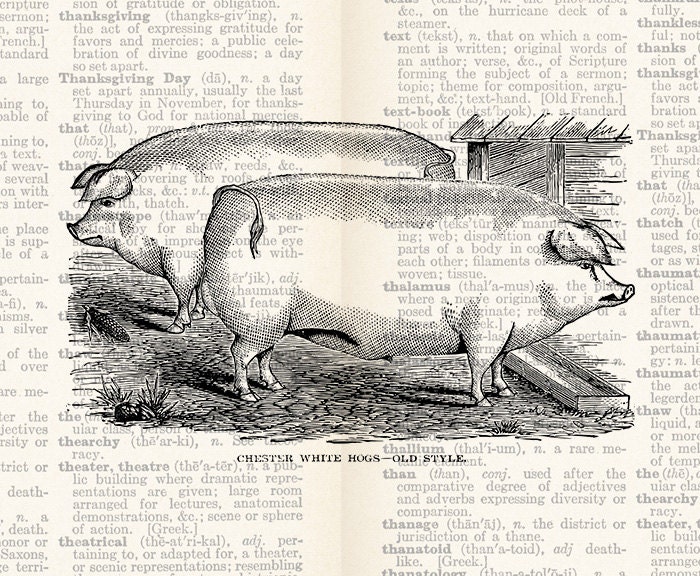 Pig Vintage Illustration Country Pigs Download Digital Art - Etsy