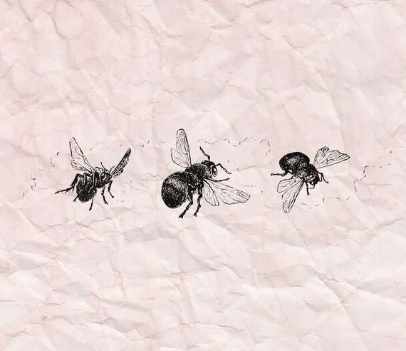 Vintage Illustration Bee Insect Bug Printable Art Digital | Etsy