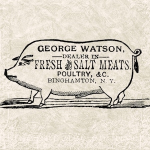 Digital Download Antique Pig Meat Ad - Vintage Pig Text Overlay ...