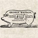 Digital Download Antique Pig Meat Ad - Vintage Pig Text Overlay ...