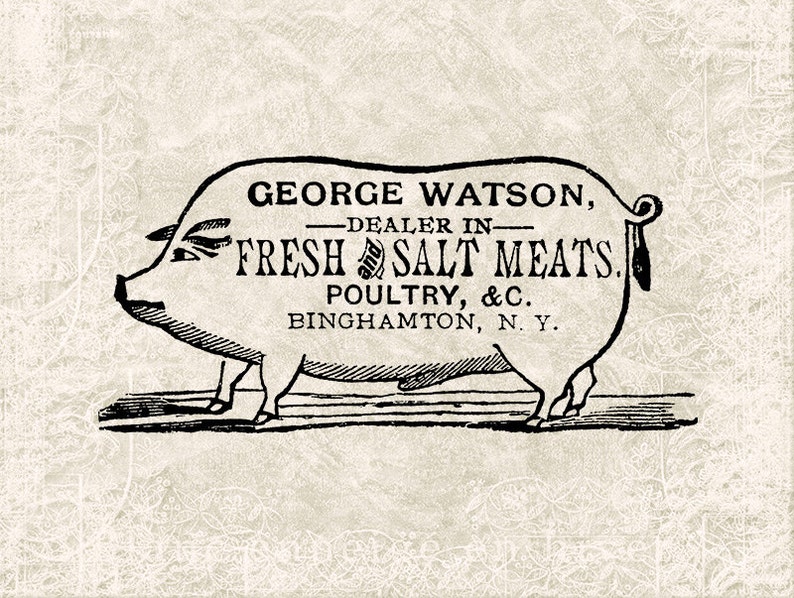 Digital Download Antique Pig Meat Ad - Vintage Pig Text Overlay ...