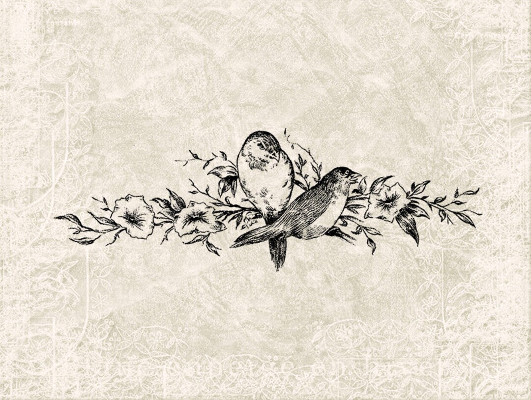 Vintage Bird Graphic
