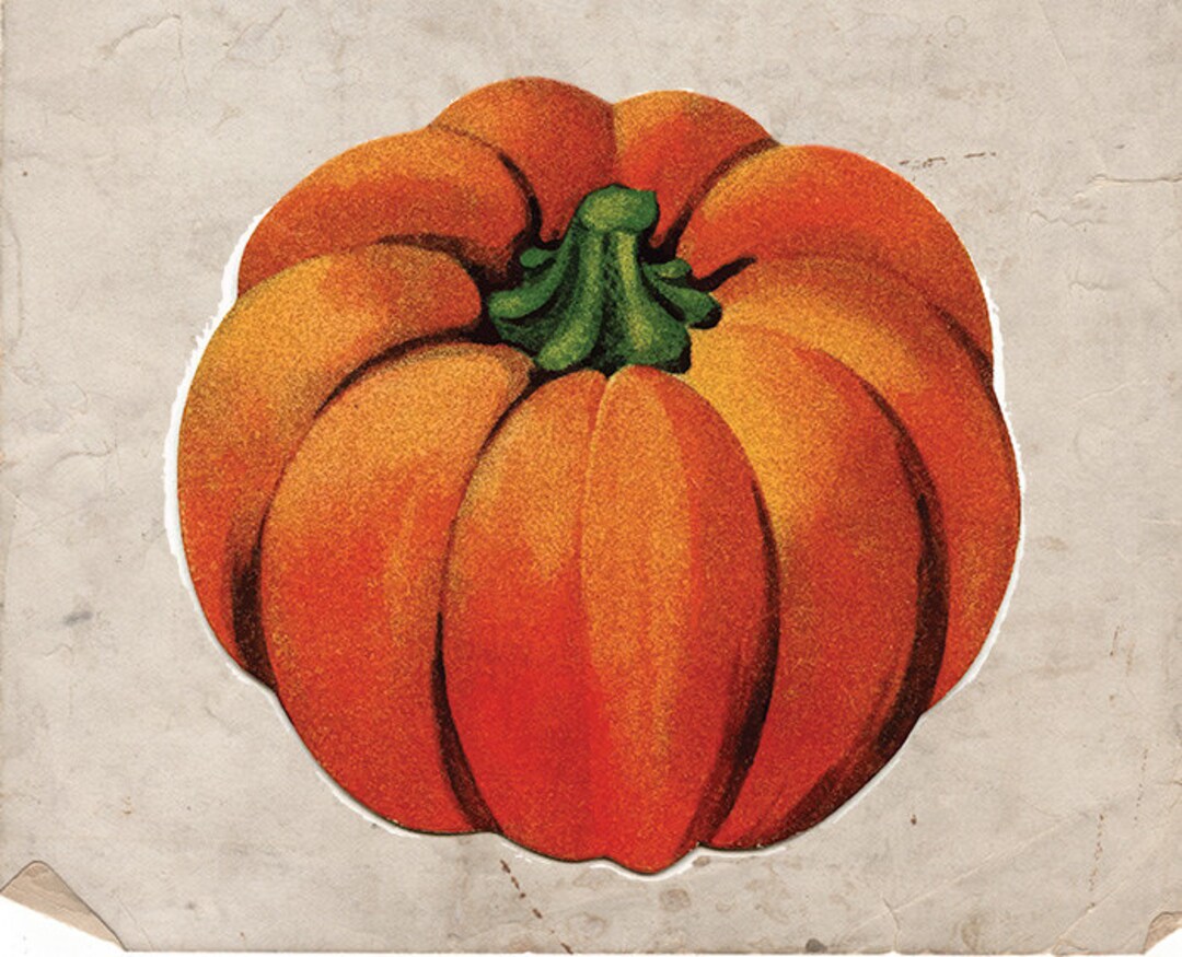 Digital Halloween Pumpkin Illustration - Antique Pumpkin and Happy ...