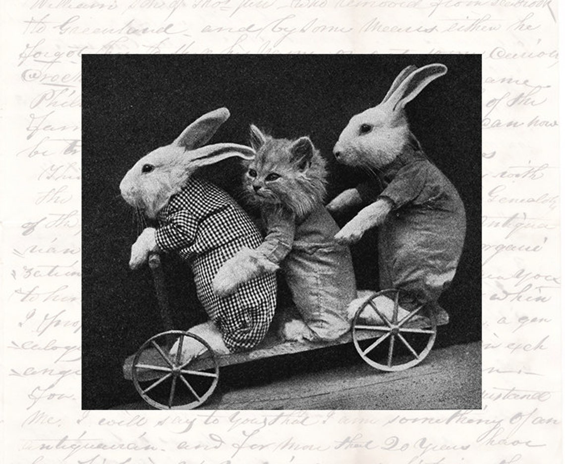 Antique Easter Photo Digital Vintage Bunny Teen Victorian - Etsy