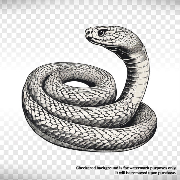 Snake Illustration - Etsy