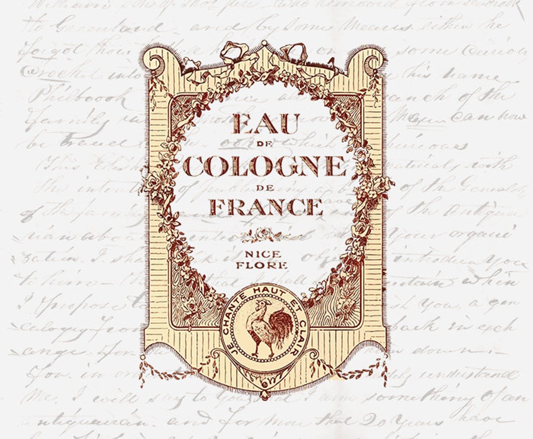 Digital Download Vintage Antique Label Word Phrase Antique Apothecary ...