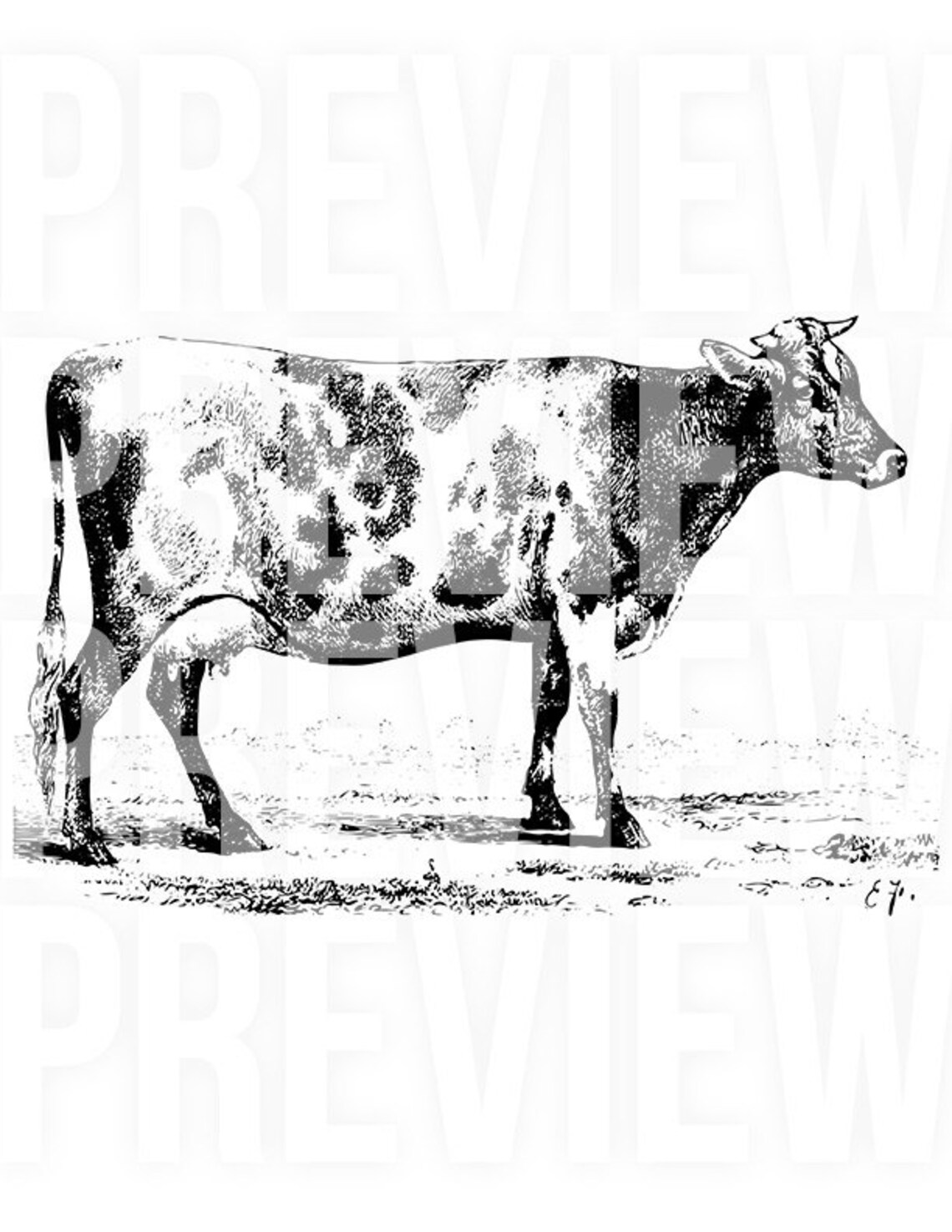 Kitchen Cow Art Download Antique Old Cow Graphic - Kitchen Art Frame It ...