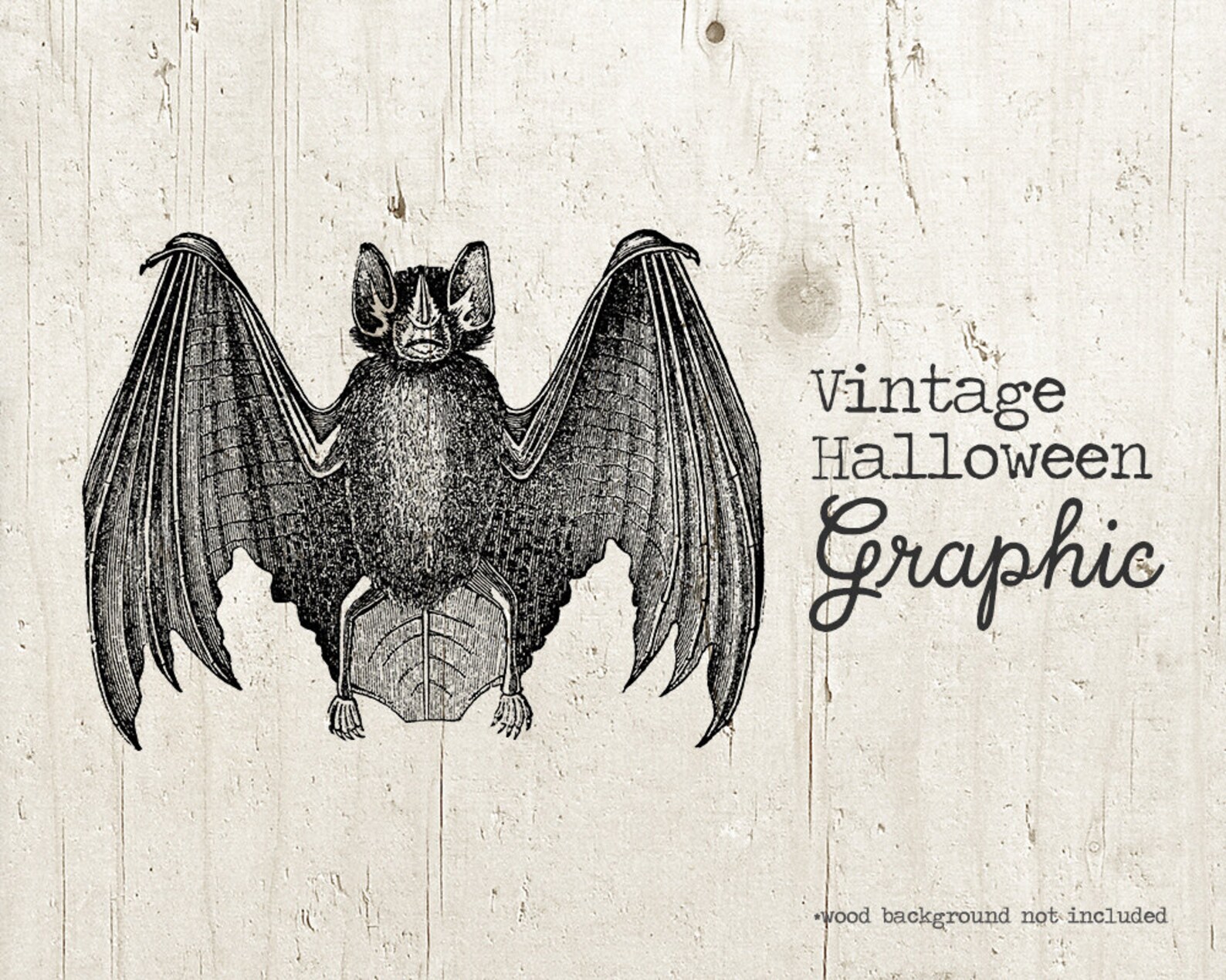 Vintage Halloween Vintage Bat Bat Illustration Clipart - Etsy