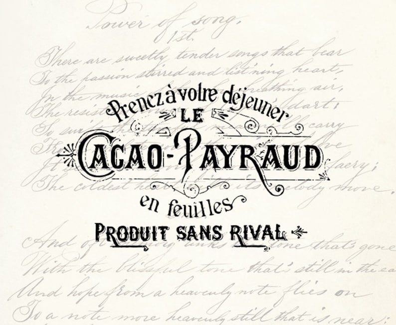 Digital Collage Sheet 5 Vintage Antique Typography Word Labels - Etsy