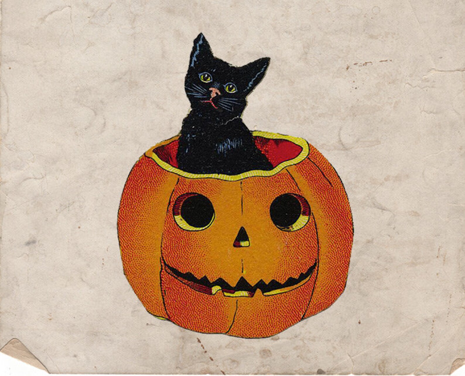 Digital Halloween Black Cat in Pumpkin Illustration Antique - Etsy